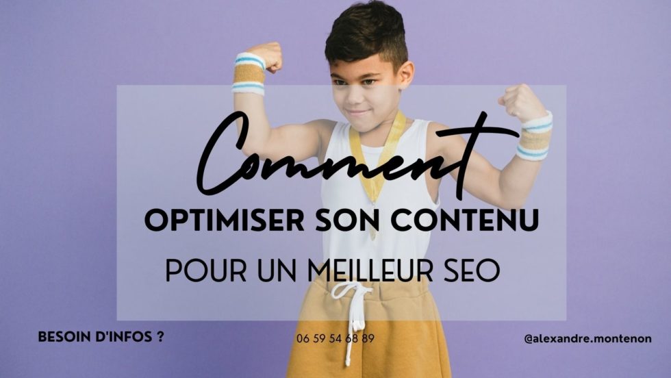 Optimisation Seo De Vos Contenus Web Alexandre Montenon